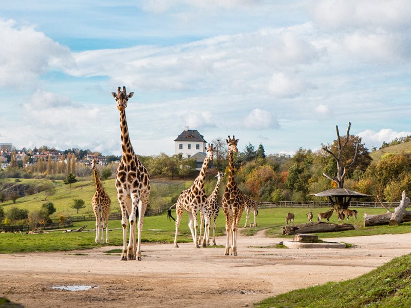 Prague Visitor Pass - Zoo Praha